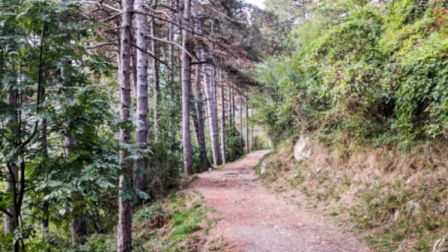 Funicolare del Righi, Granarolo e Principe: trekking sulle alture ...