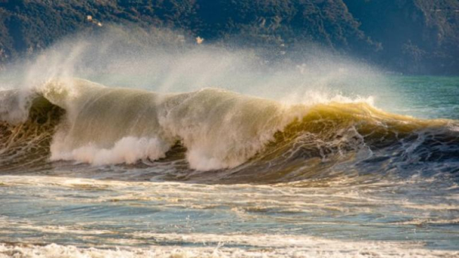 Scarsa lingua di terra che orla il mare. Il mondo di Camillo Sbarbaro ...