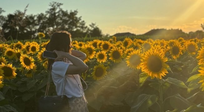Sunnyland: labirinto di girasoli a Corbetta - Mentelocale Web Magazine