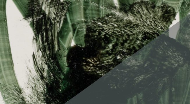 Organic Flows, mostra di Greta Affanni - Mentelocale Web Magazine