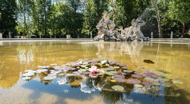 Le Ninfee di Monet ai Giardini Reali di Torino per Flor Primavera ...