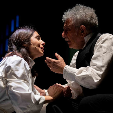 Storia di una Capinera al Teatro Goldoni: Guarnieri e De Luca nell ...